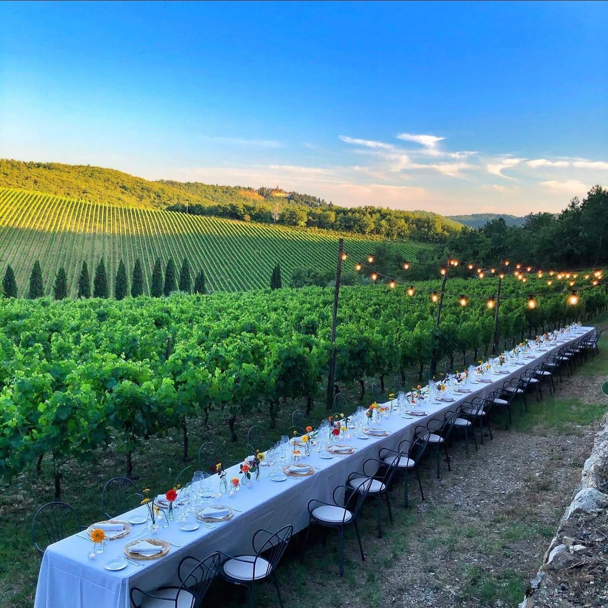 La Nostra Serie di Cene in Vigna 2020 | IT