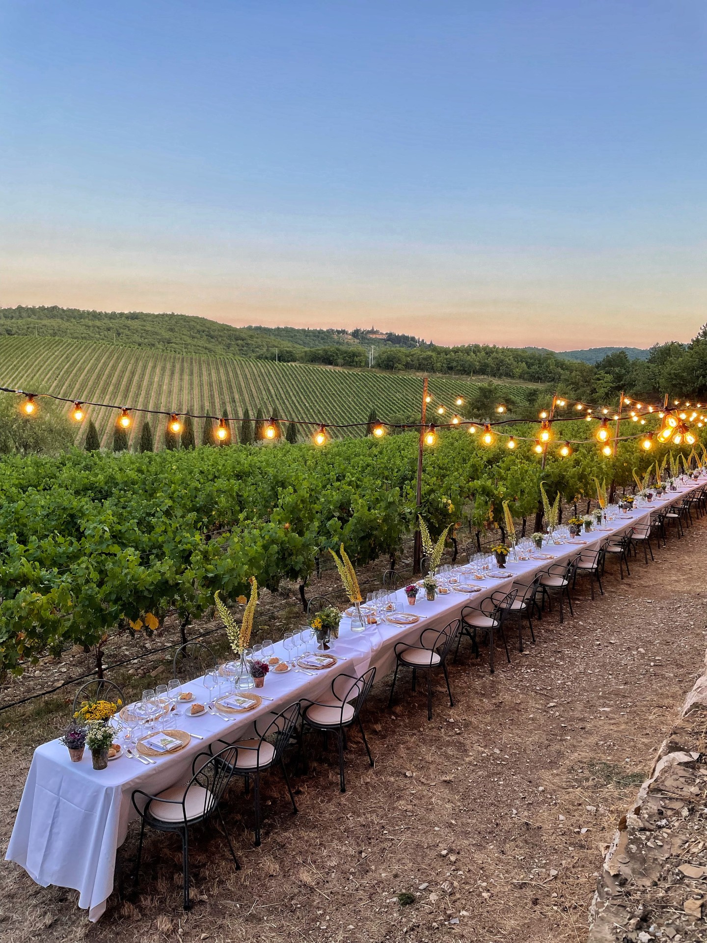 Le Cene in Vigna 2022 | IT